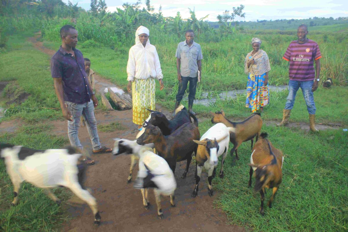 UMOJA NI NGUVU (Buliti B ) – KRLON-Kyaka II Refugee-led Organizations ...